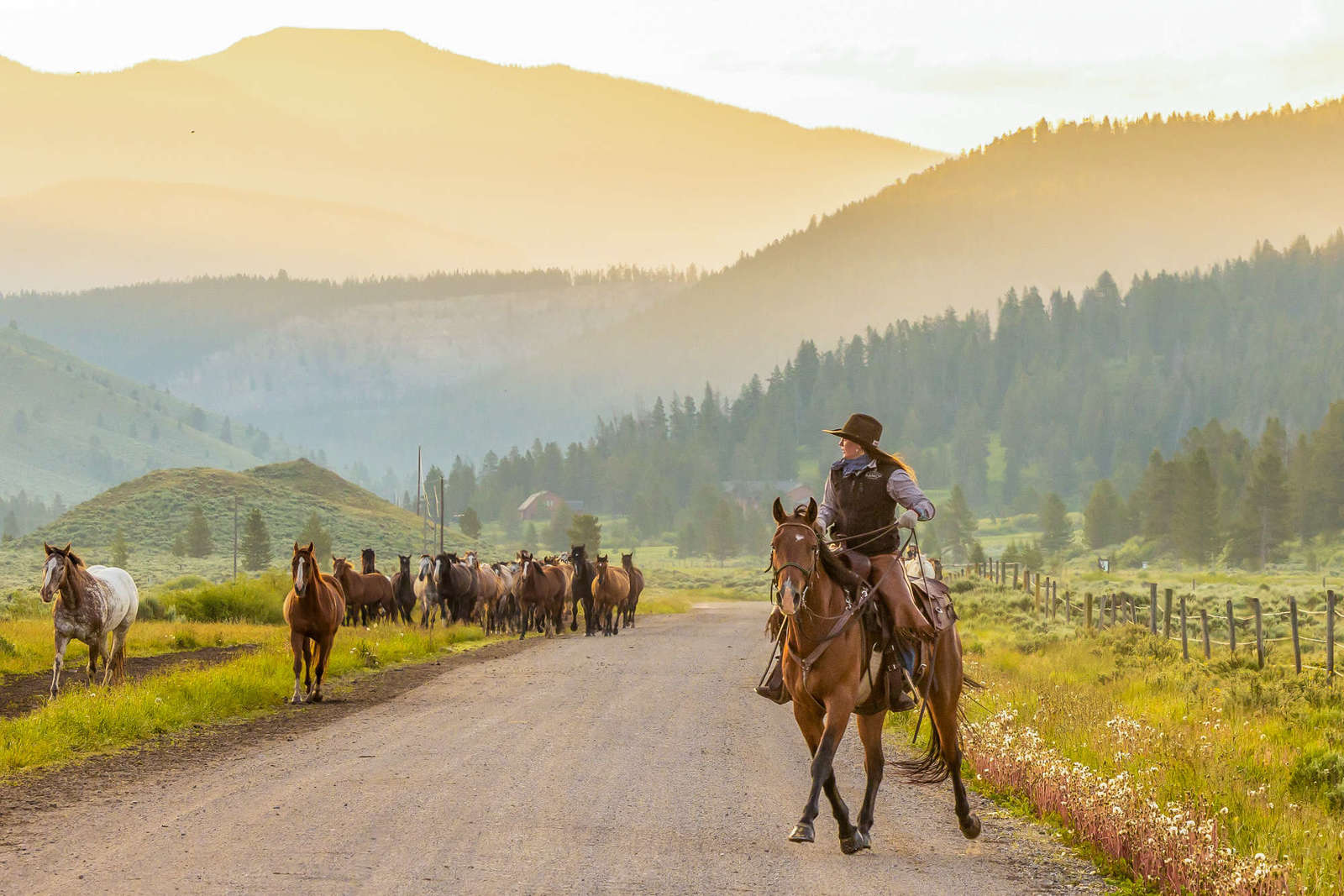 Live out your Yellowstone ranch dreams on this ranch holiday in Montana ...