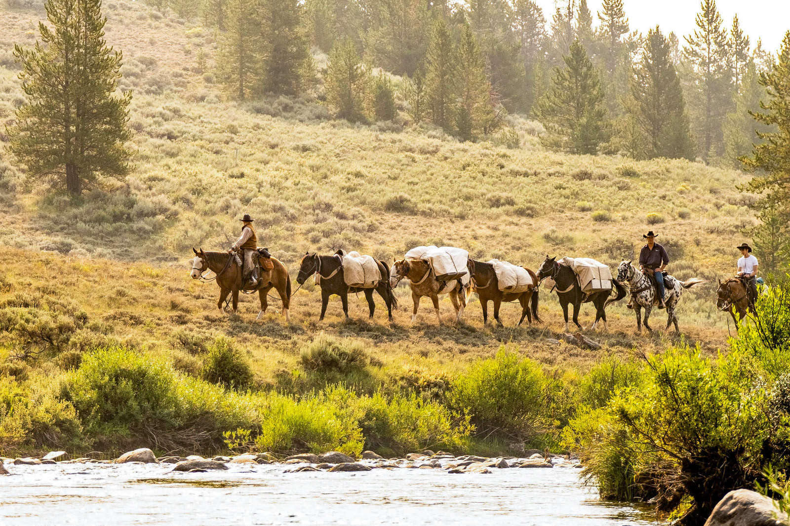 Live out your Yellowstone ranch dreams on this ranch holiday in Montana ...