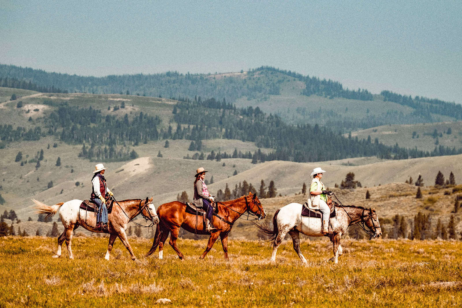 Live out your Yellowstone ranch dreams on this ranch holiday in Montana ...