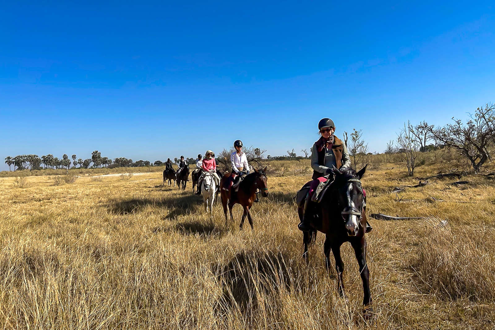 Riding safari at Cha Cha Metsi camp, Okavango delta | Equus Journeys