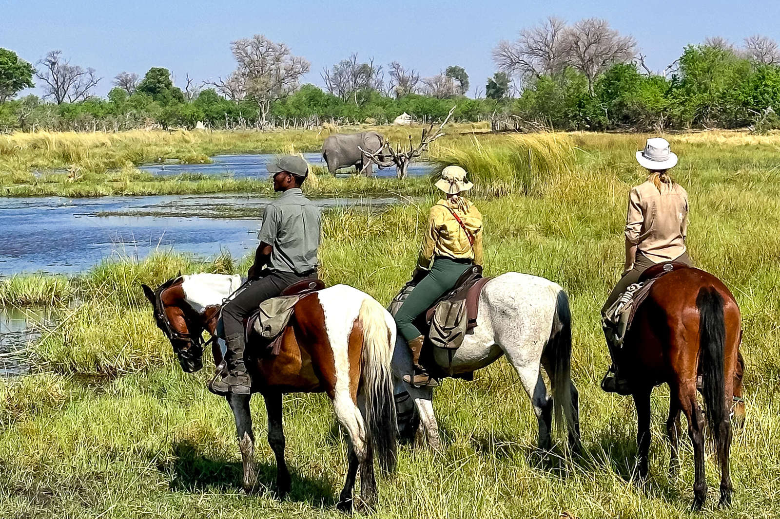 Riding safari at Cha Cha Metsi camp, Okavango delta | Equus Journeys