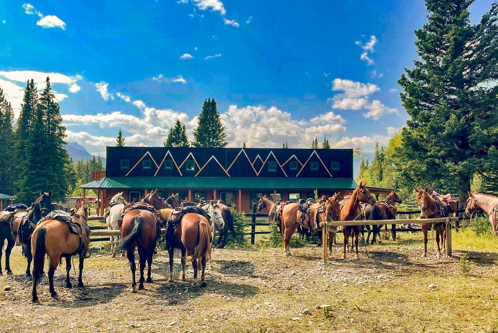 Ranch holiday in Alberta, Canada, in the Rocky Mountains | Equus Journeys