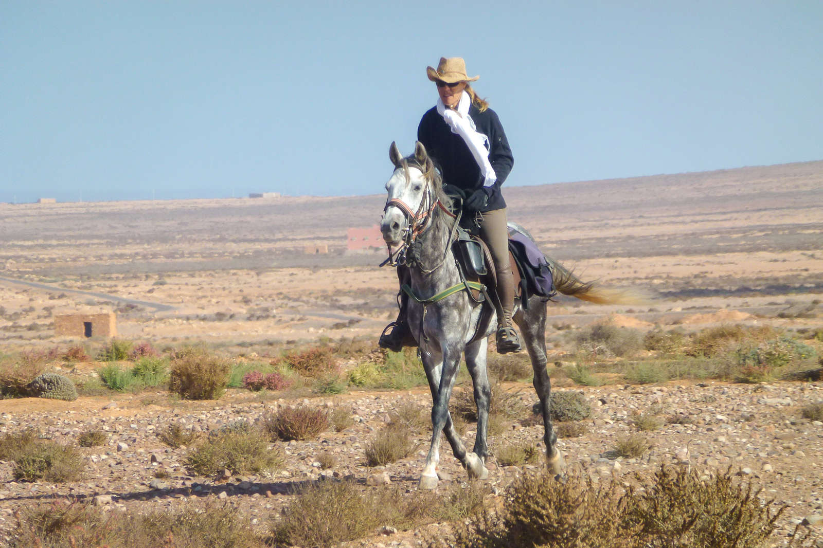 Enjoy a riding holiday on a Ranch in southern Morocco | Equus Journeys