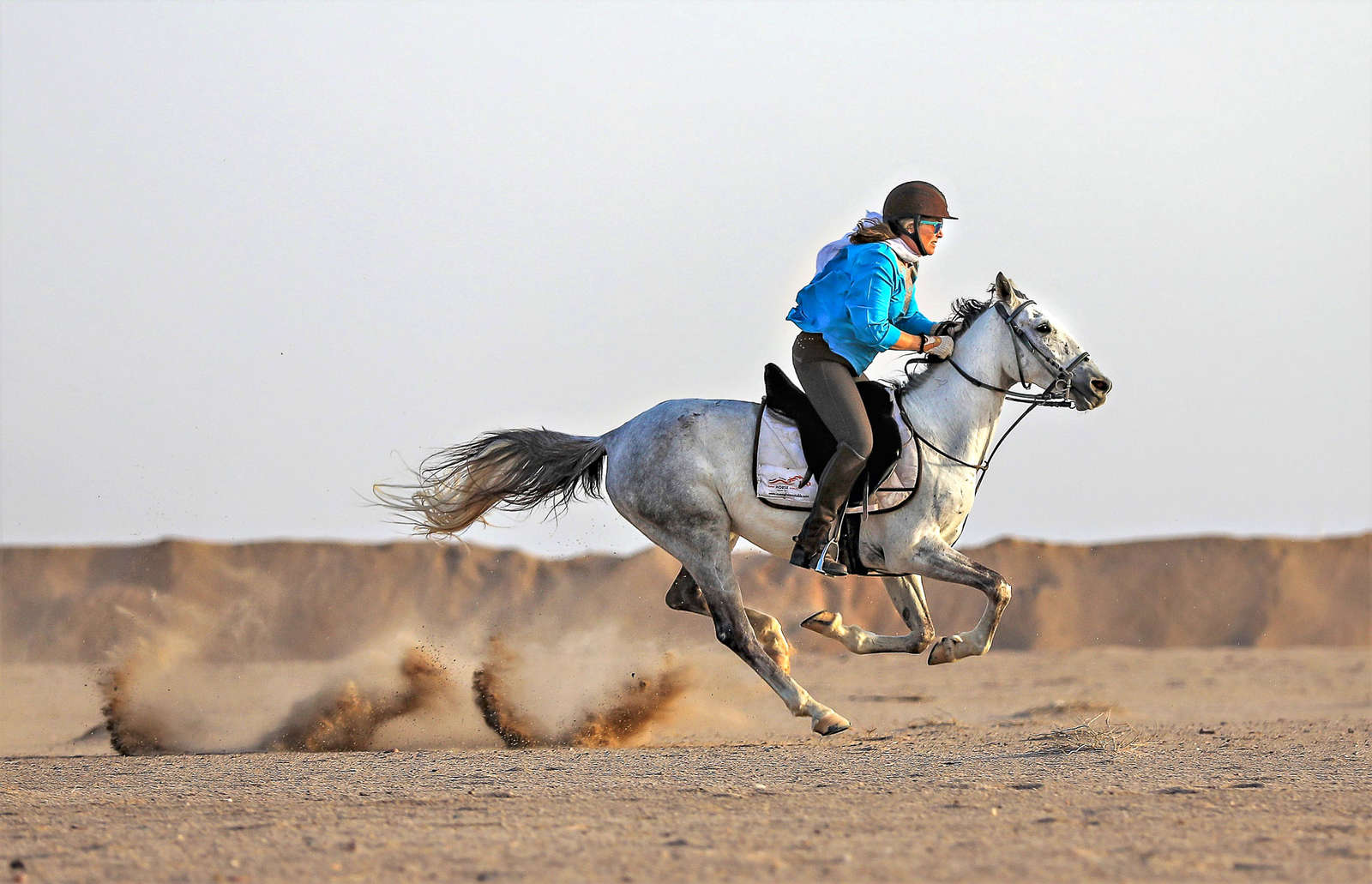 Discover Egypt on a riding holiday: Cairo, Luxor, Hurghada | Equus Journeys