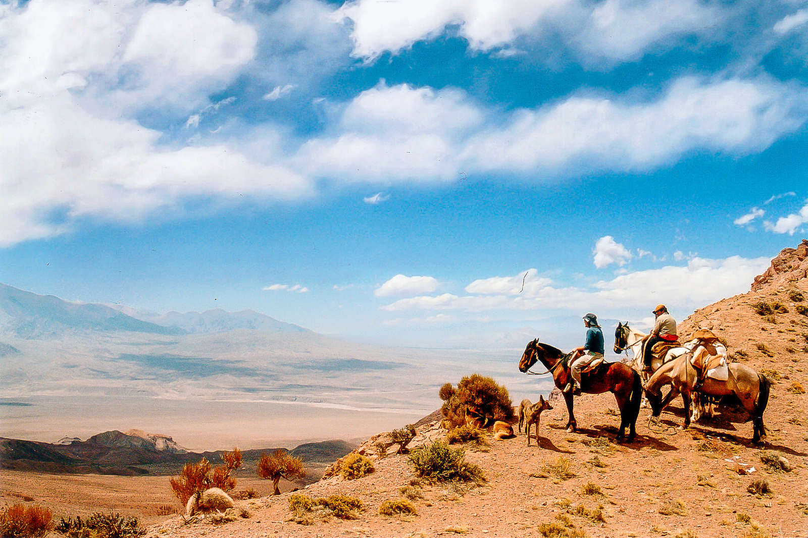 Cross the Andes on horseback from Chile to Argentina. | Equus Journeys