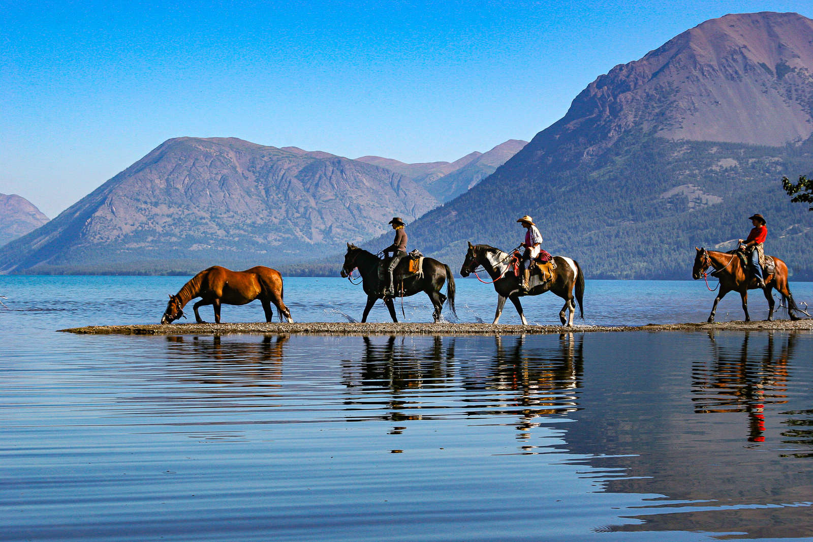 Horseback riding trails in Canada | Equus Journeys