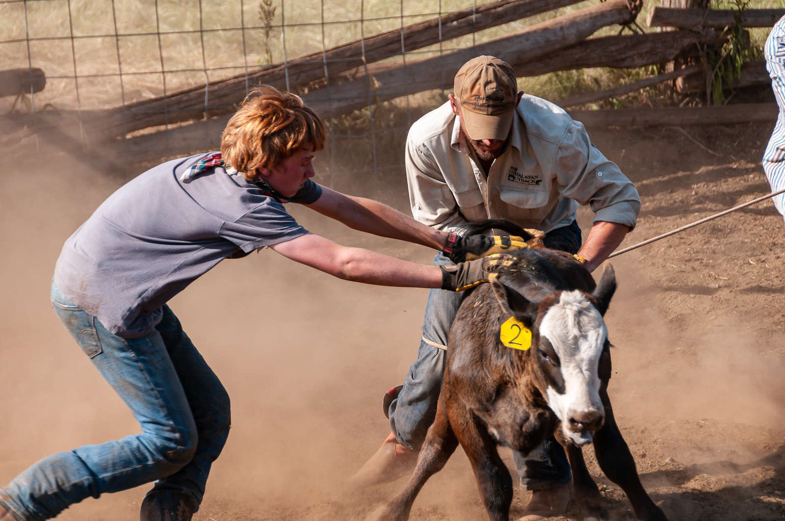 Join a genuine ranch and cattle drive holiday in America | Equus Journeys