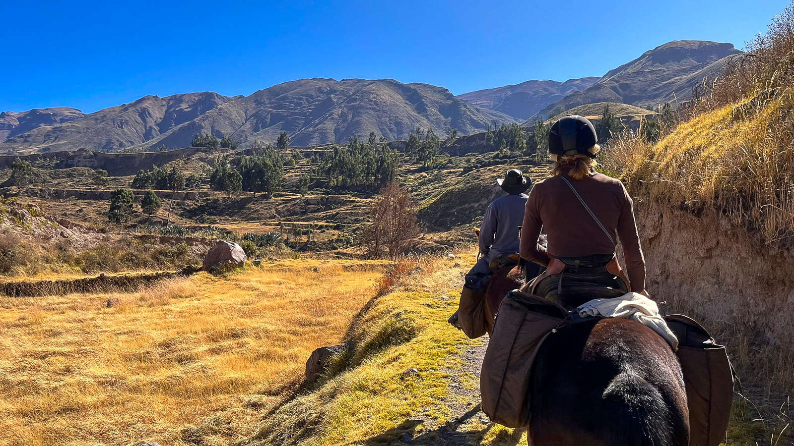 Join a horseback trail through Peru's Colca Canyon