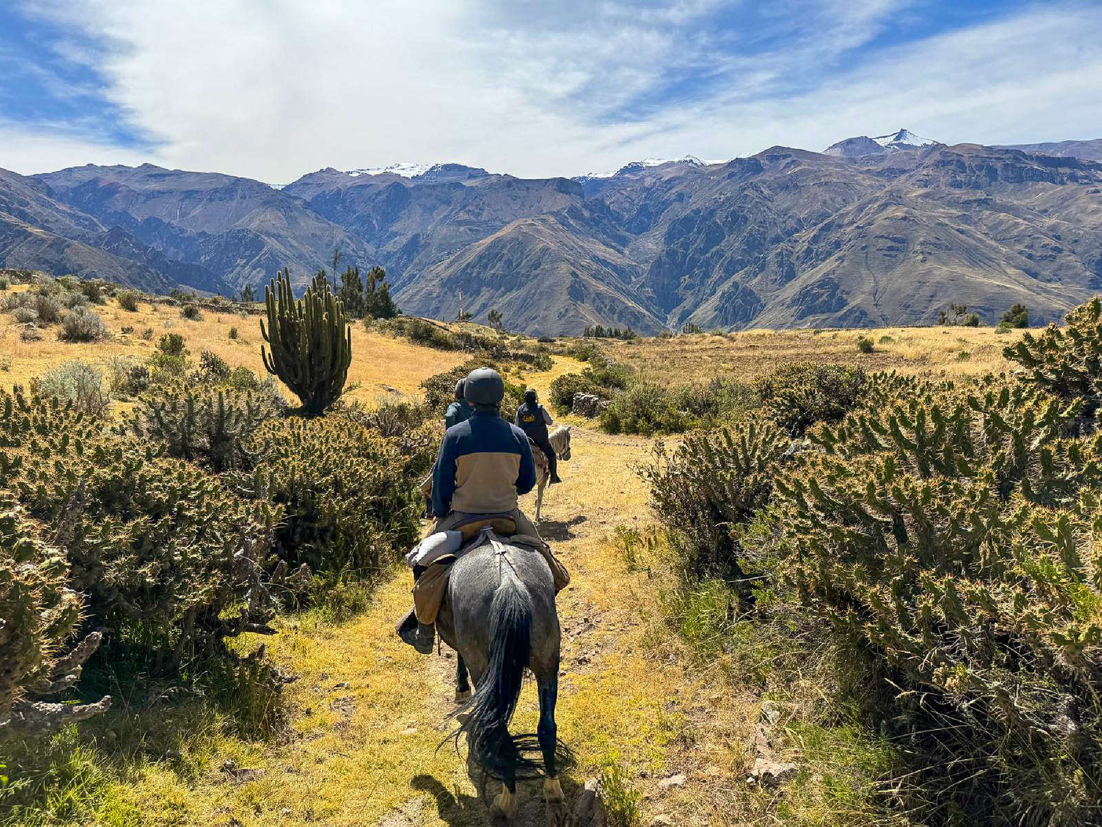 Join a horseback trail through Peru's Colca Canyon