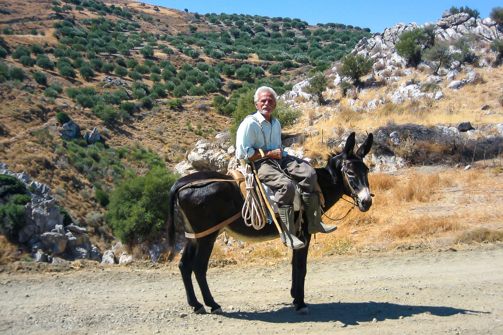 Discover Greece on a holiday on horseback | Equus Journeys