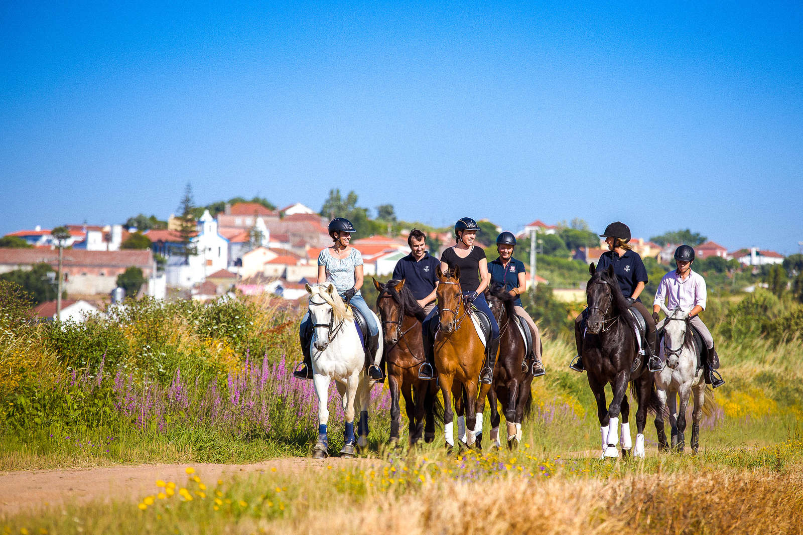 Learn new dressage skills on Lusitanos in Portugal | Equus Journeys
