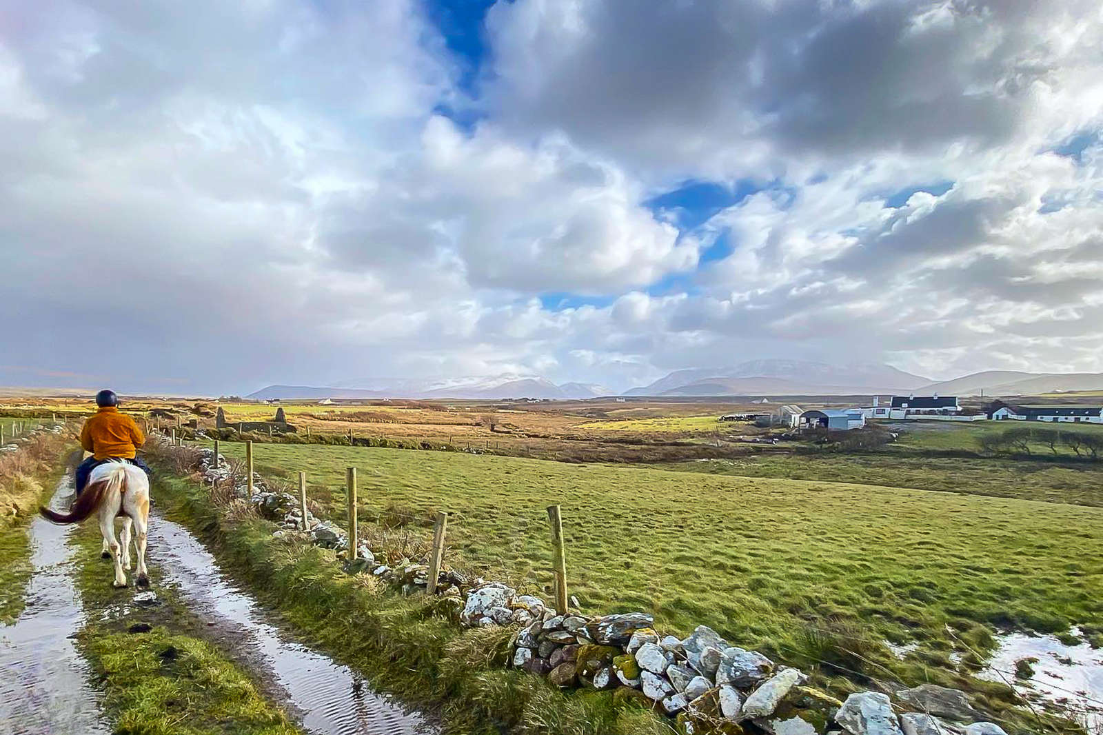 Explore Westport, Ireland on horseback | Equus Journeys