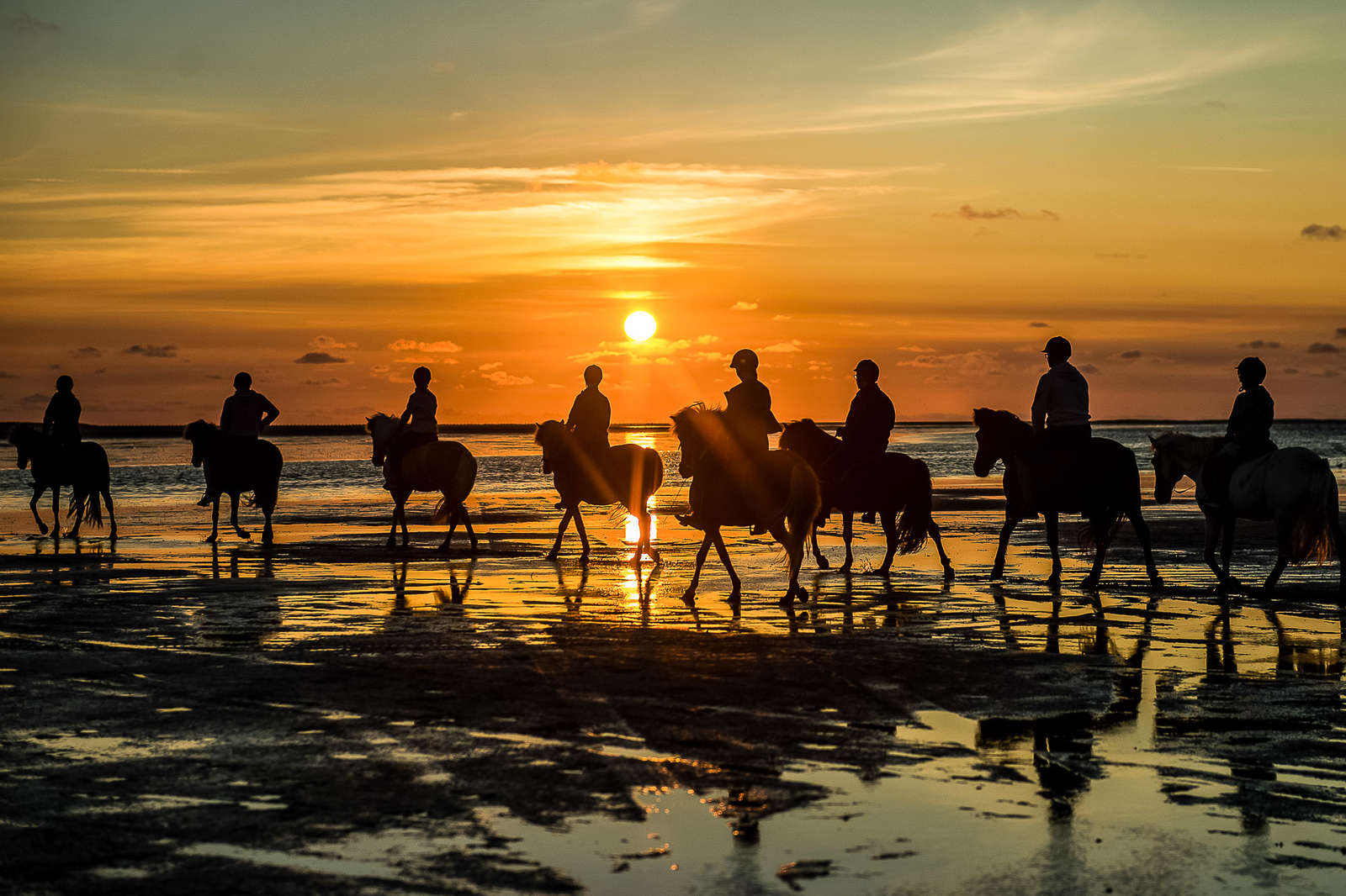 An adventure in the Romo island | Equus Journeys