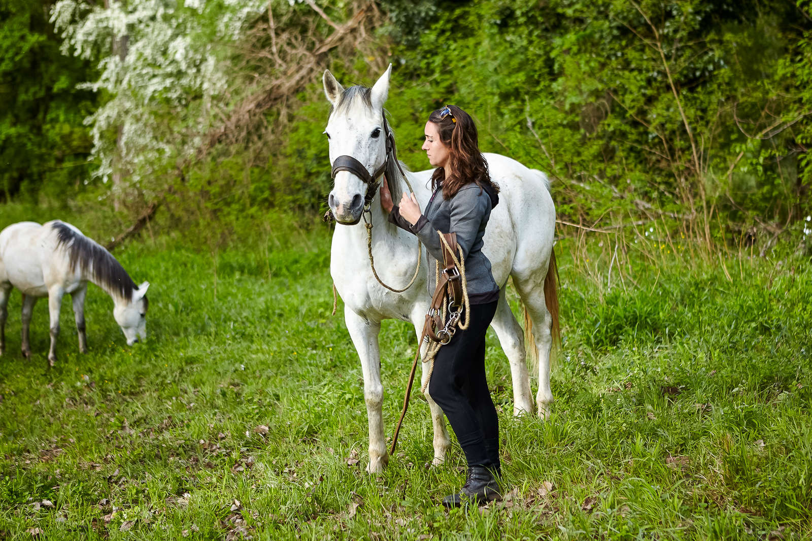 Experience de Camino de Santiago on horseback | Equus Journeys