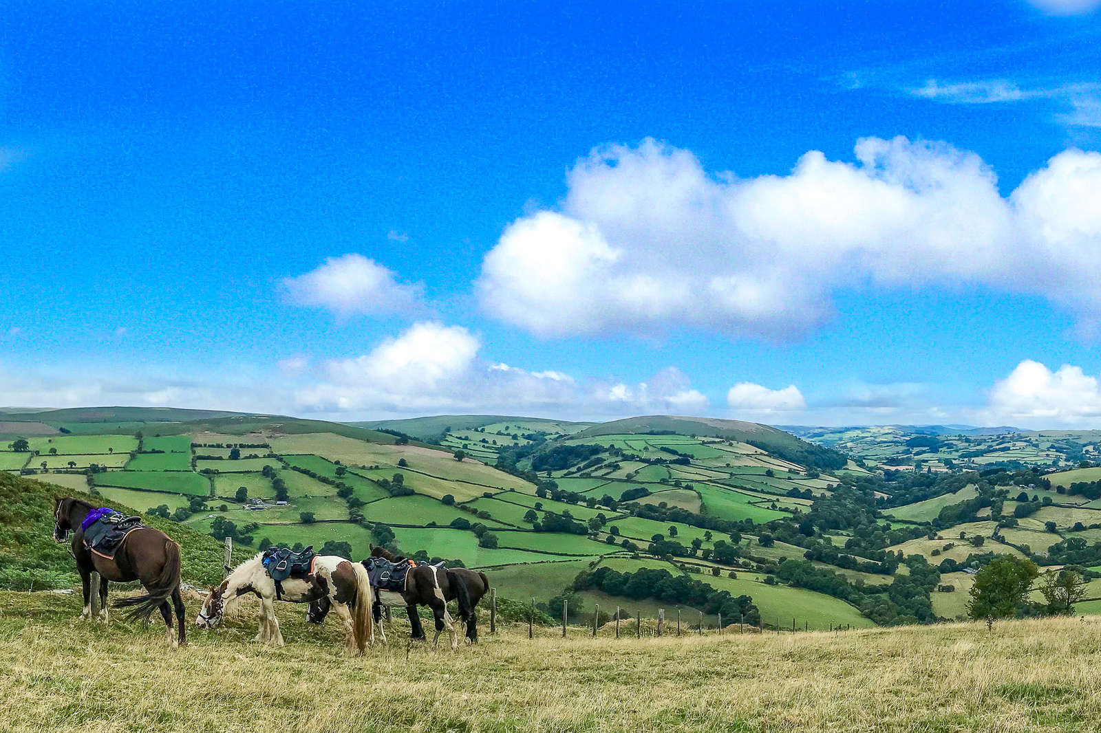 Join a fun, short equestrian break in Wales | Equus Journeys