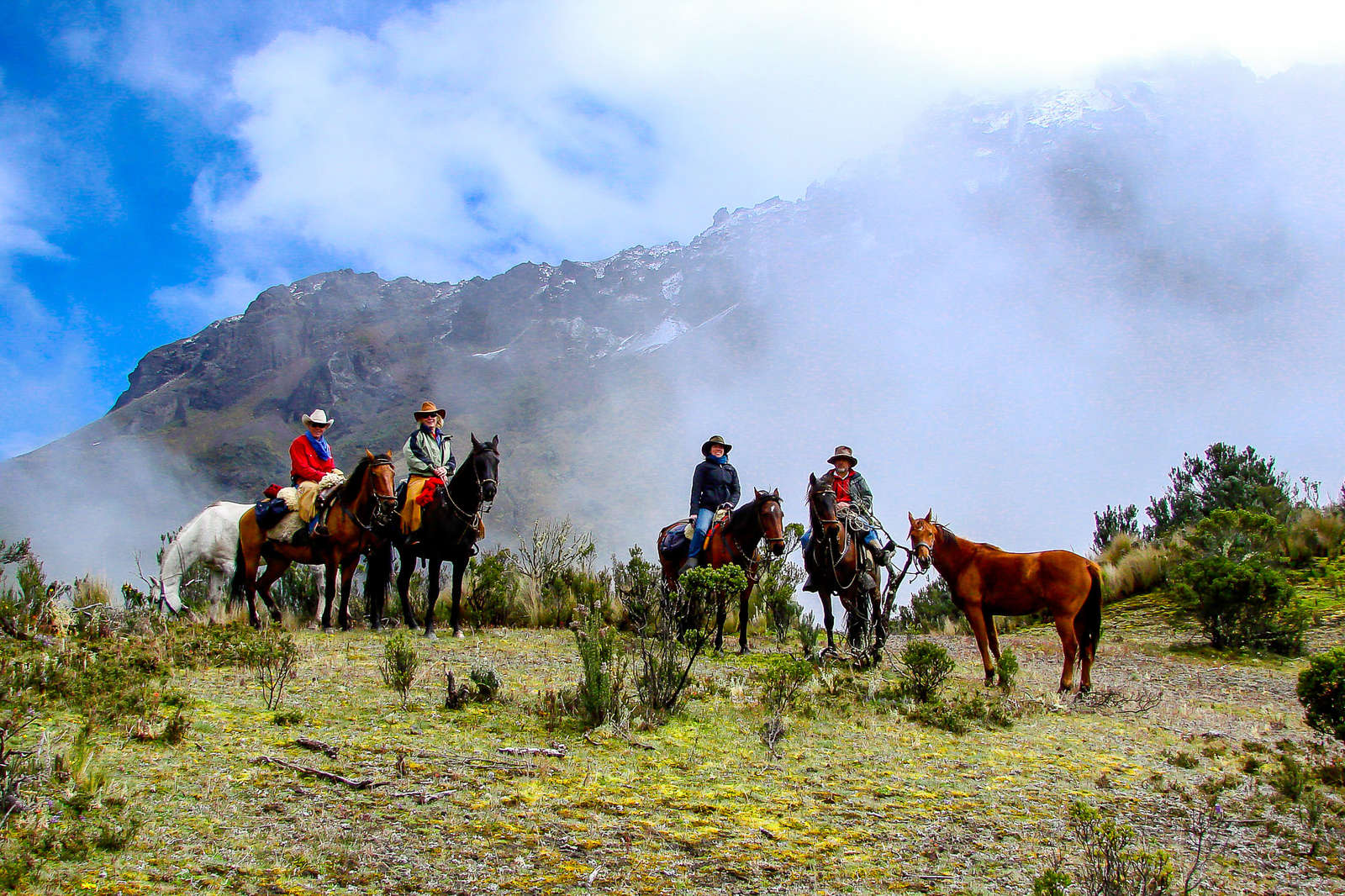 Discover Ecuador's volcanoes on a horseback trail ride | Equus Journeys