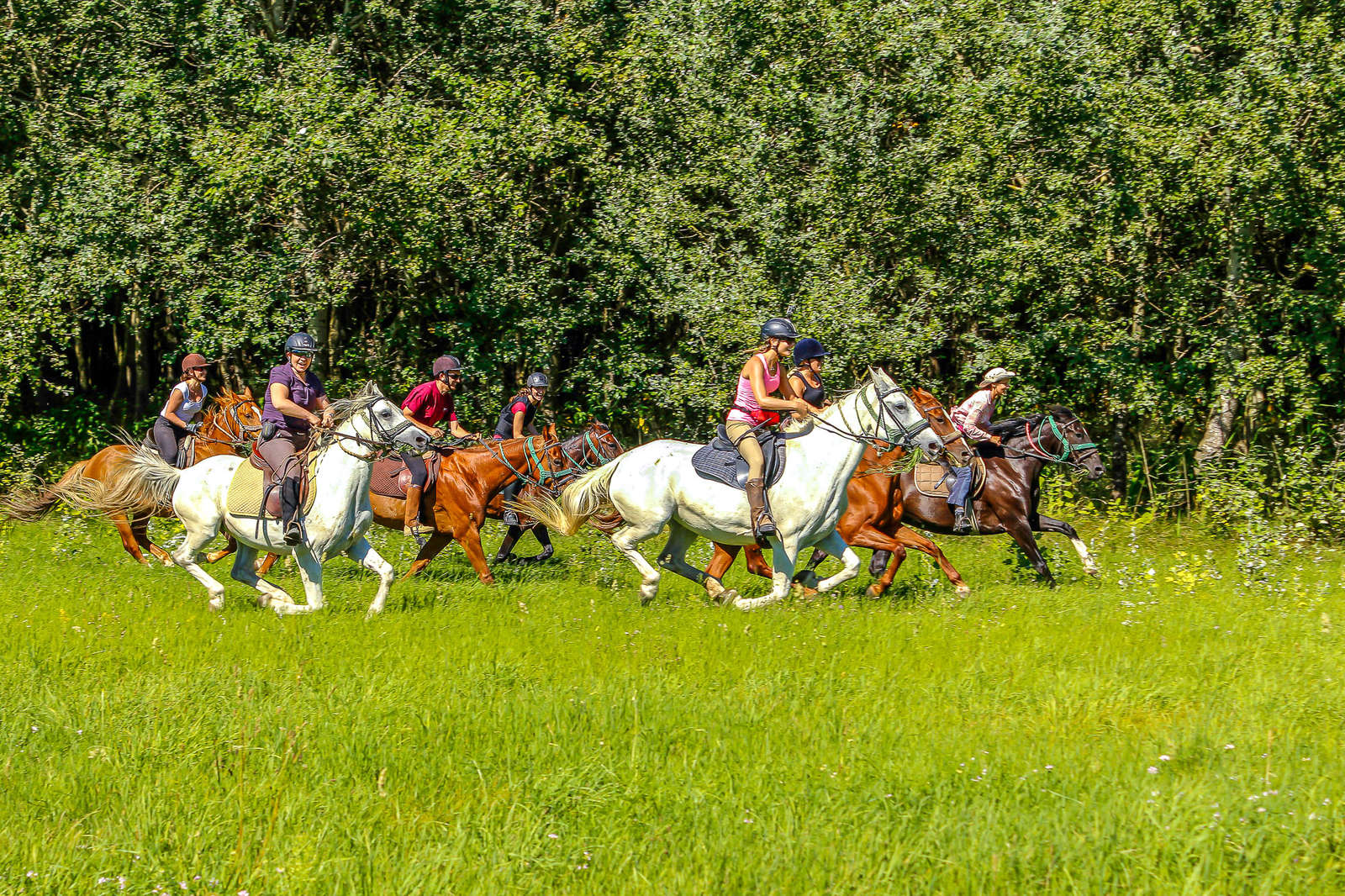 Gallop across the flat plains of Puszta in Hungary | Equus Journeys