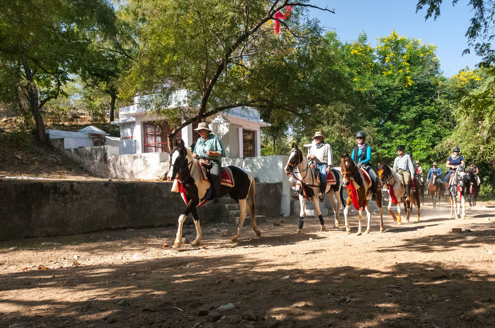 Riding Marwaris across Rajasthan in India on a short ride | Equus Journeys