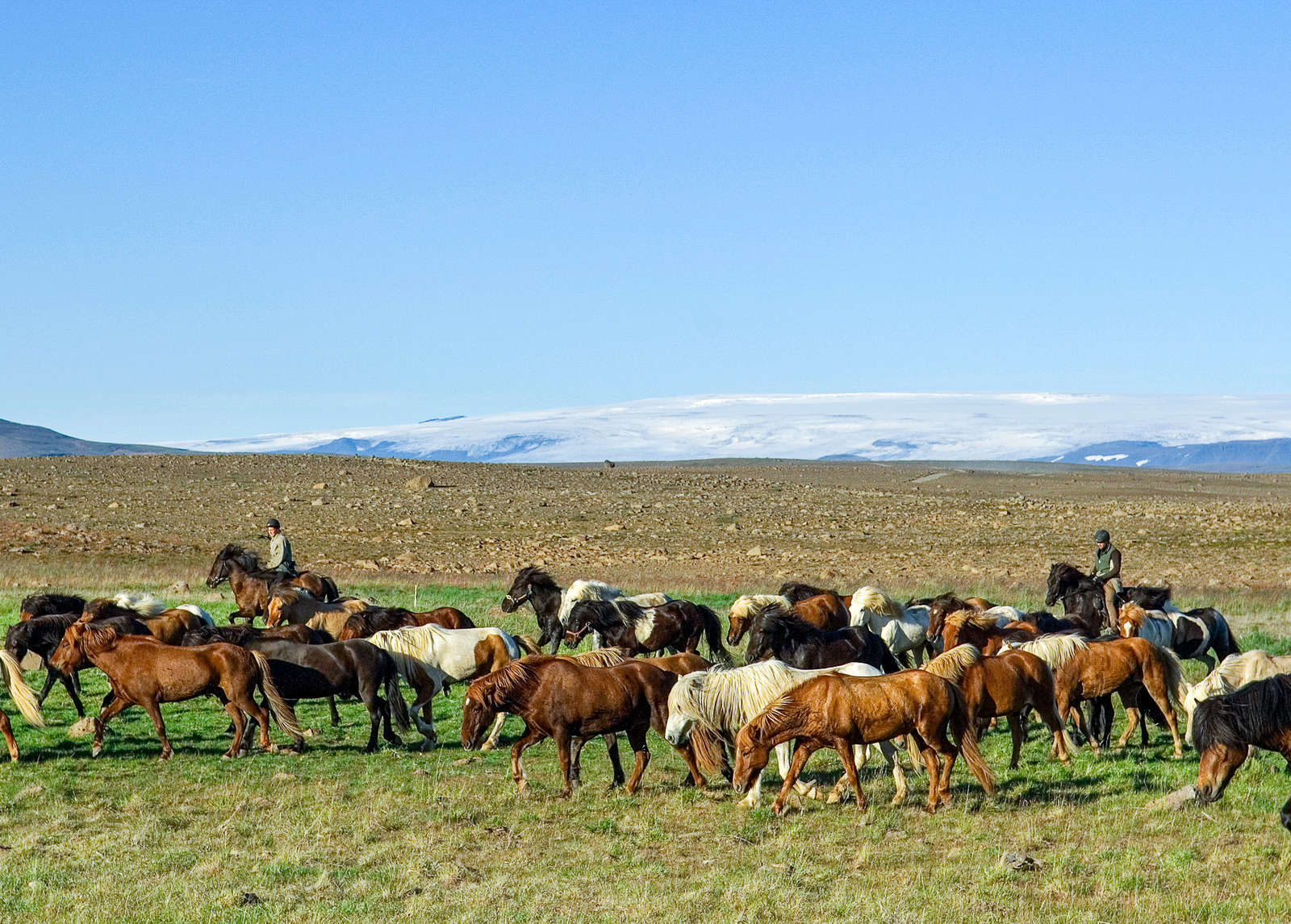 Ride Icelandic horses across Iceland on the Kjolur trail | Equus Journeys