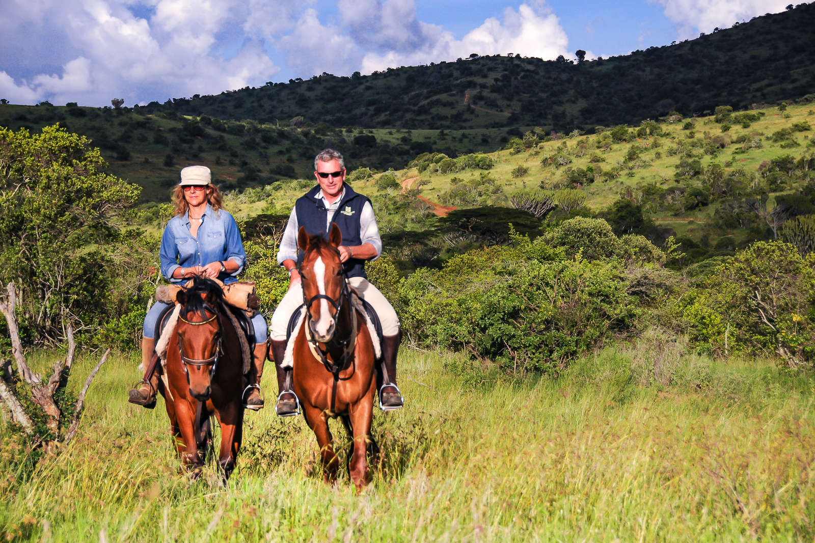 Relax on a riding safari at luxurious Borana lodge | Equus Journeys