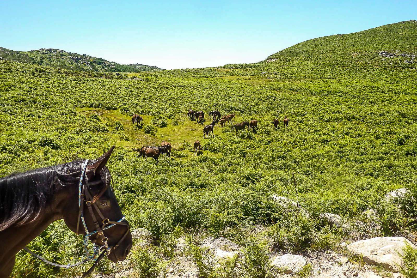 Ride a trail in the wilderness of northern Portugal