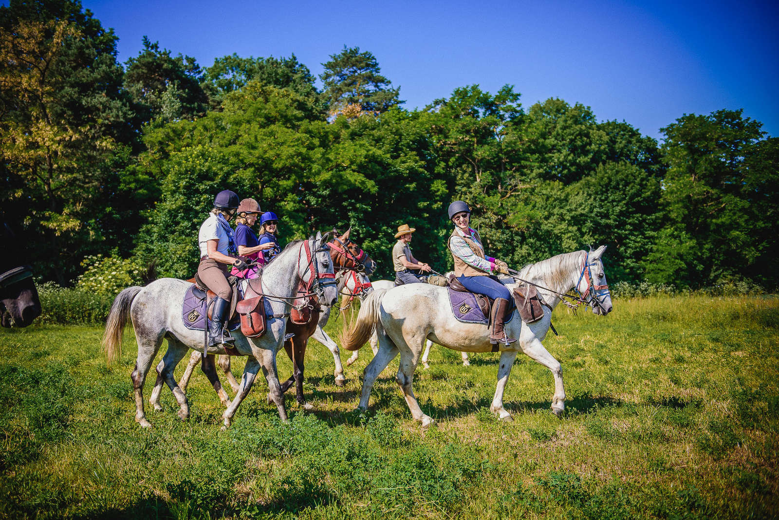 Ride through the mountains of Romania on horseback | Equus Journeys