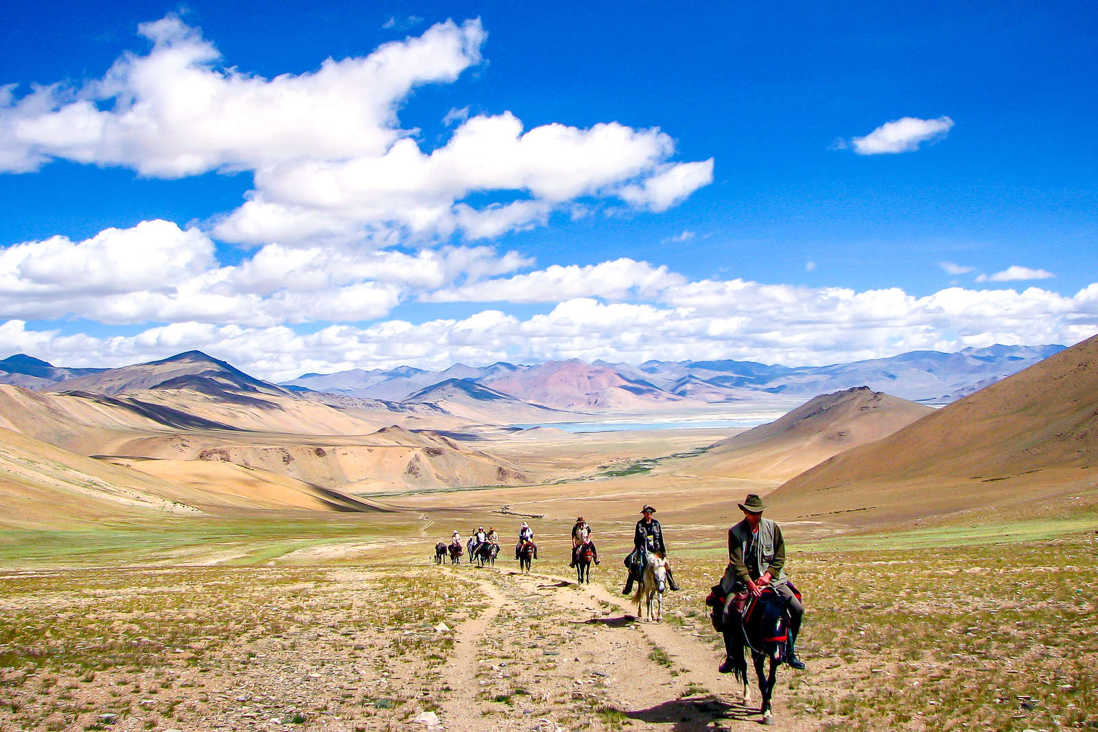 Horse riding trails in Ladakh, India | Equus Journeys