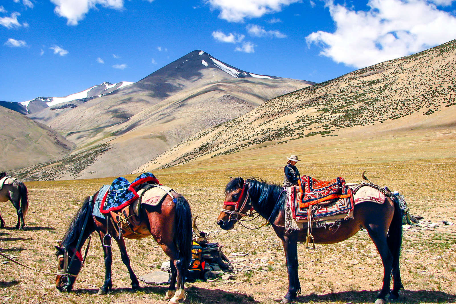 Horse riding trails in Ladakh, India | Equus Journeys