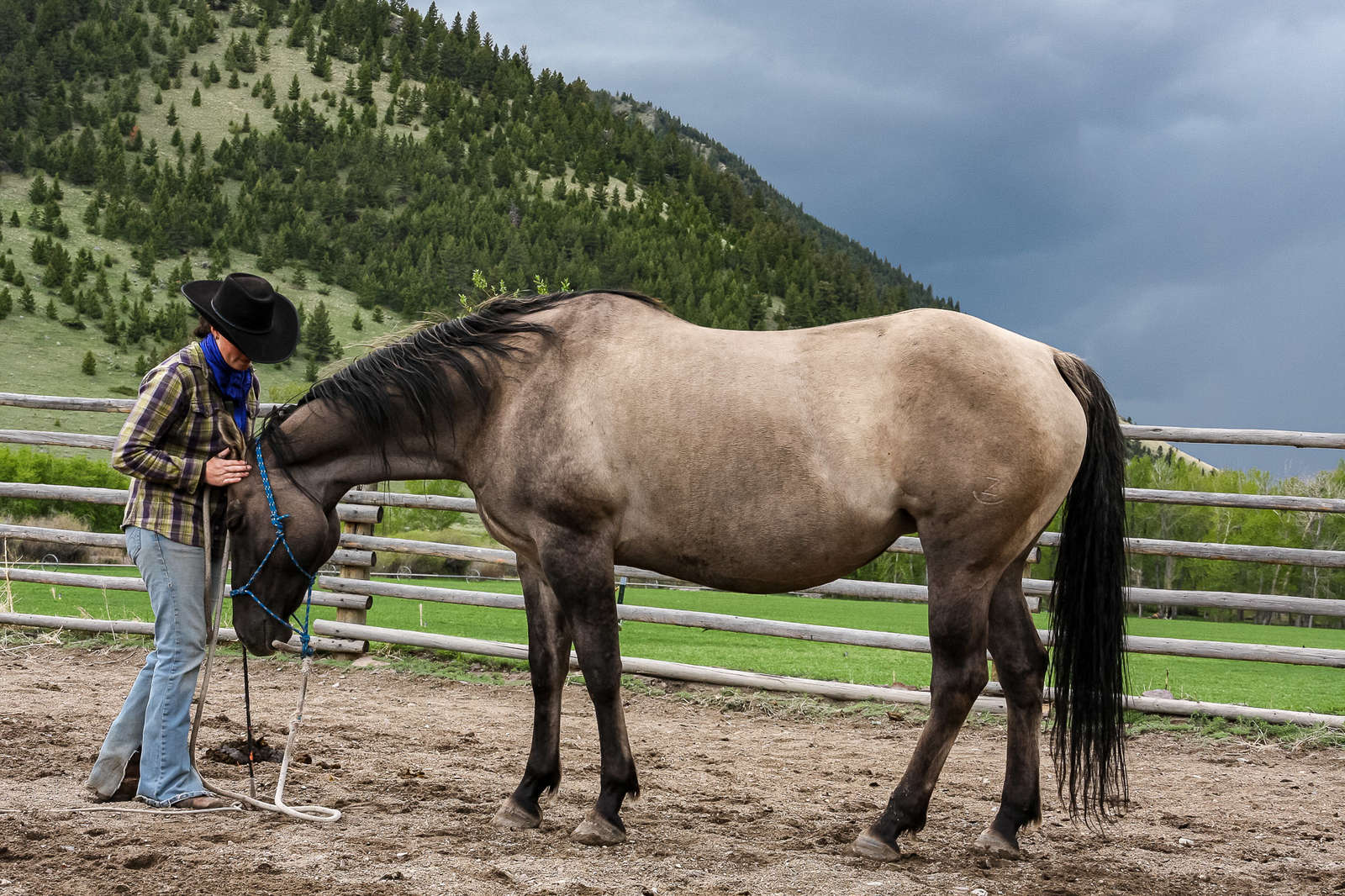 Learn about natural horsemanship on this US guest ranch | Equus Journeys
