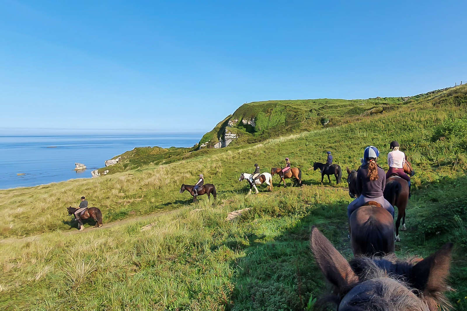 A weekend retreat in Ireland for intermediate riders | Equus Journeys