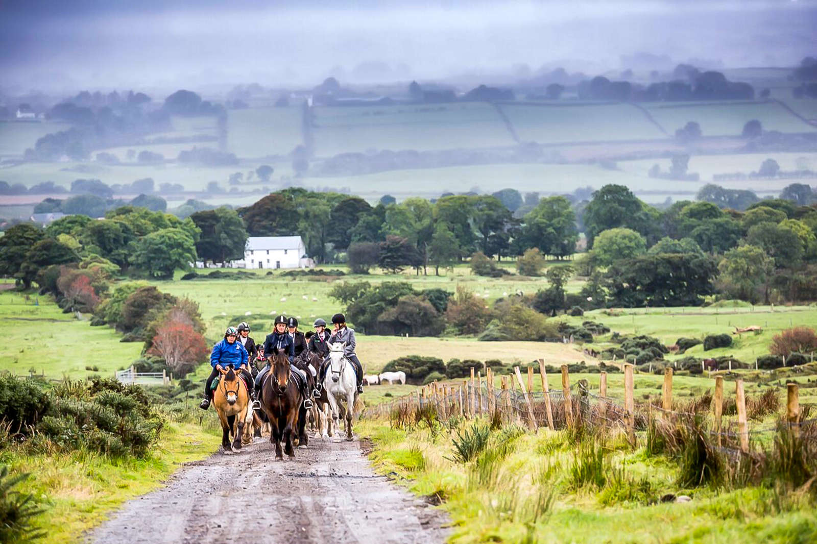 A weekend retreat in Ireland for intermediate riders | Equus Journeys