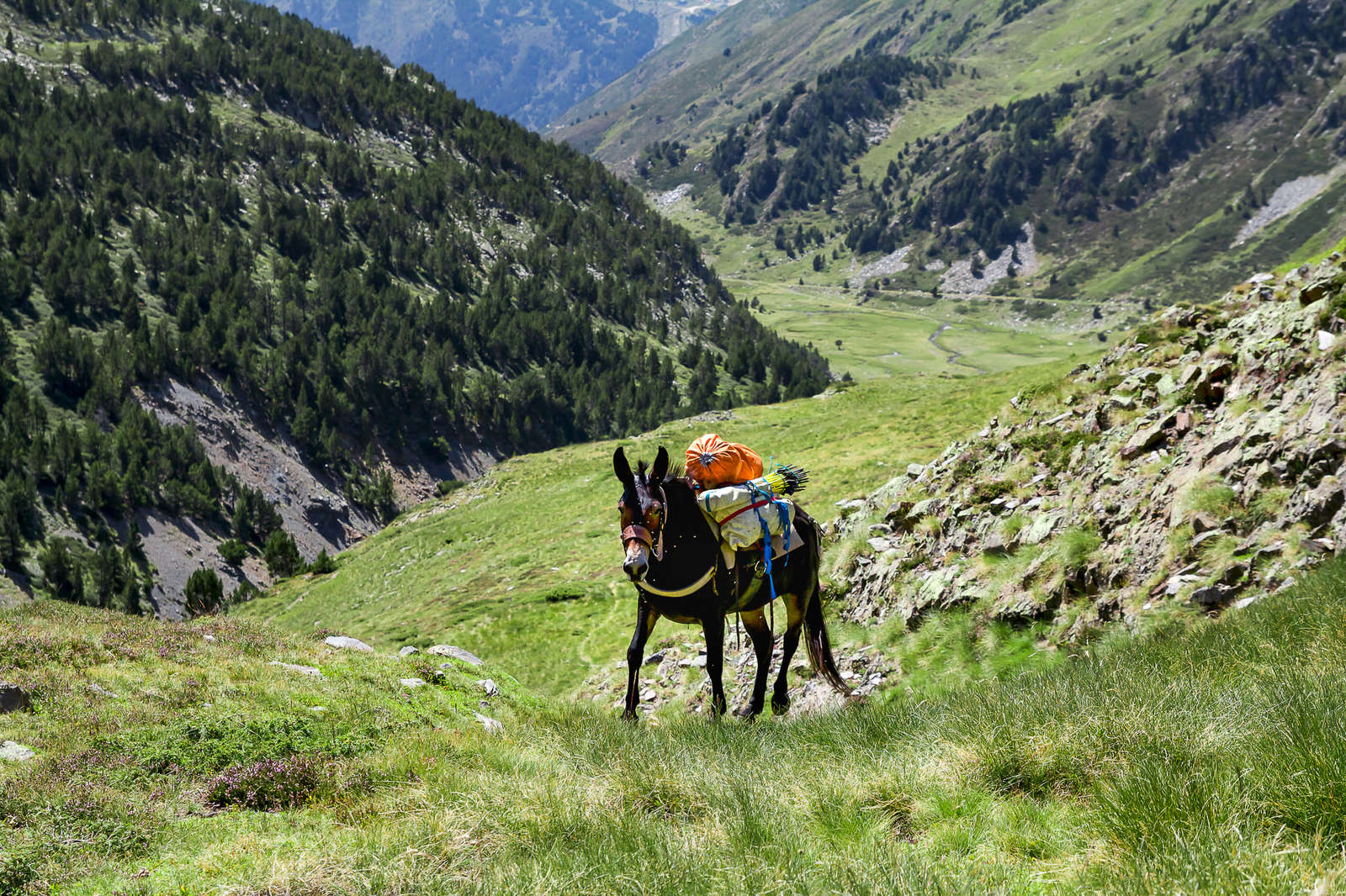 An adventurous riding expedition in the French Pyrenees | Equus Journeys