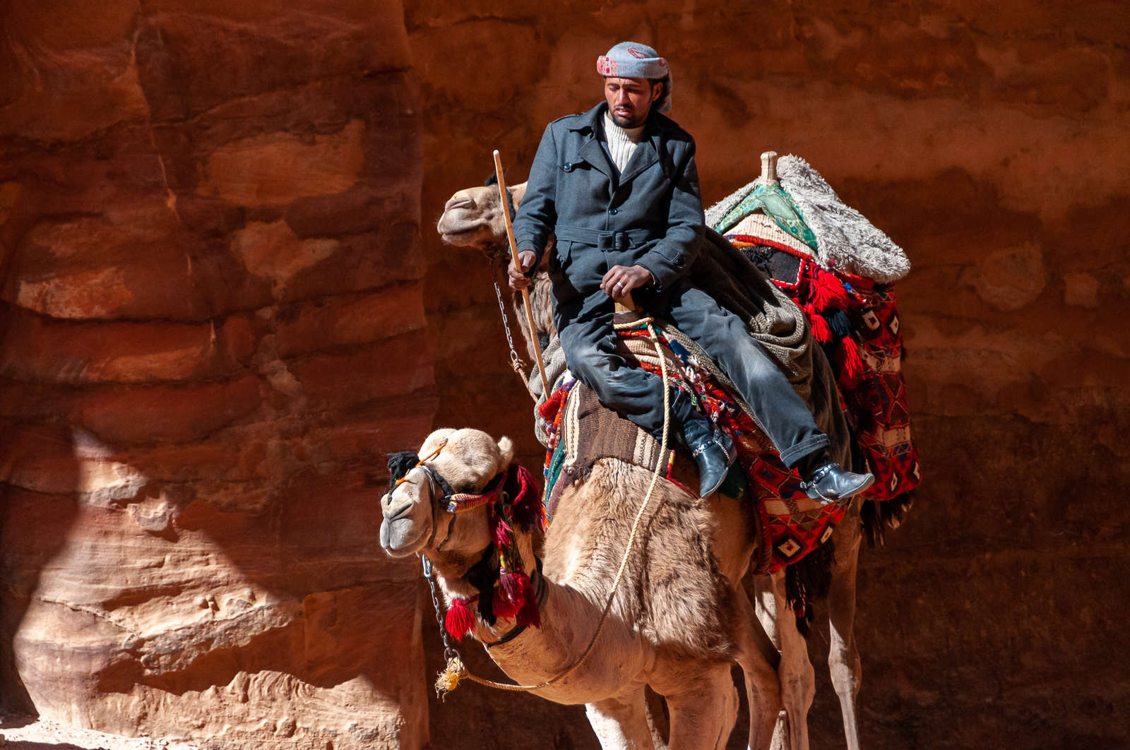 Horseback trail ride through the Wadi Rum desert in Jordan | Equus Journeys