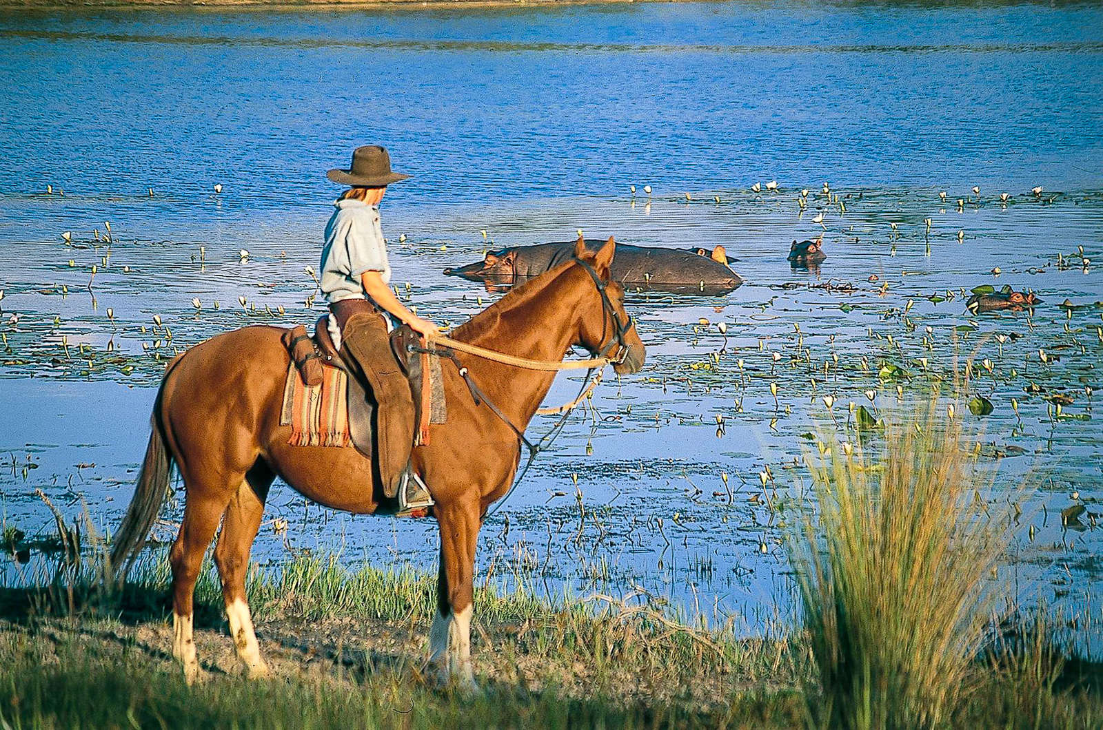 A fabulous family riding safari in Africa at Horizon ranch | Equus Journeys