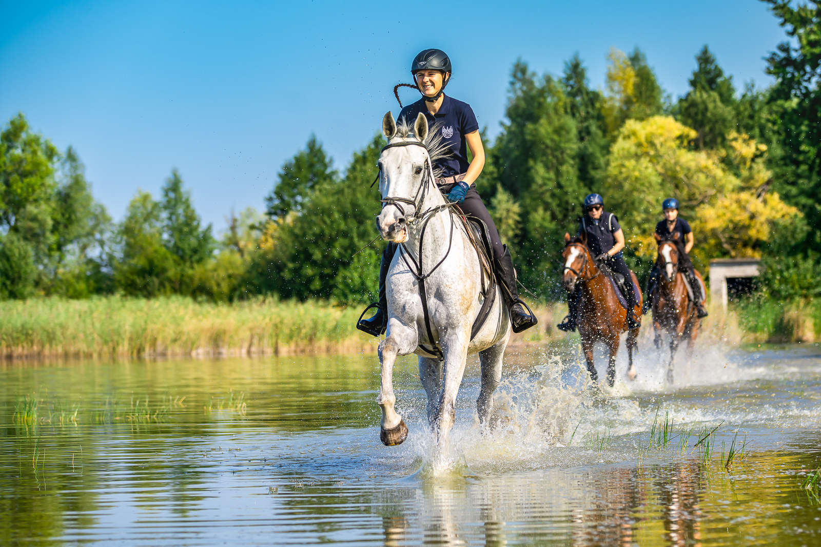 Join a riding holiday at Galiny Palace in Poland | Equus Journeys