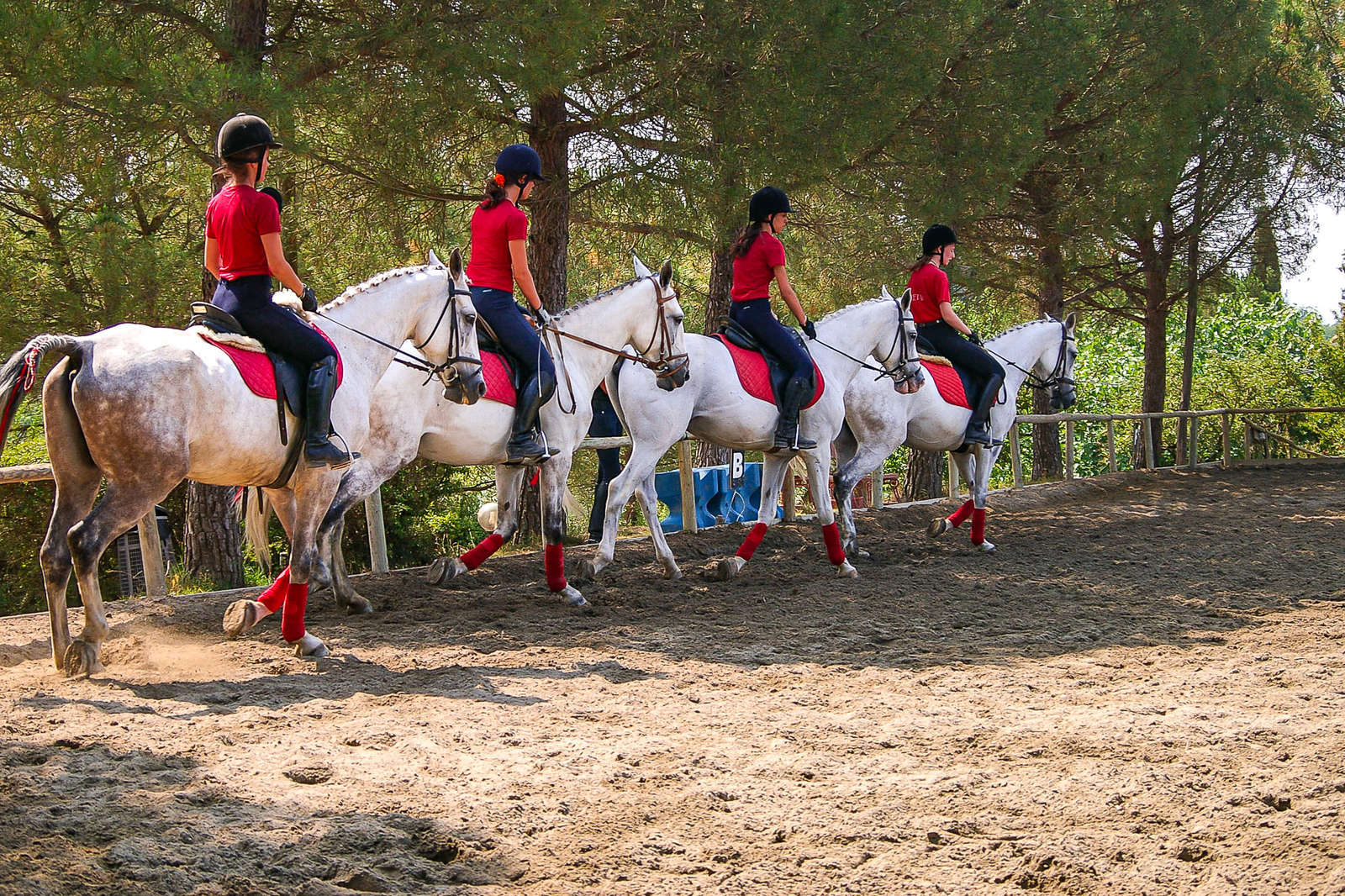 Refine your dressage skills on a riding holiday in Tuscany | Equus Journeys