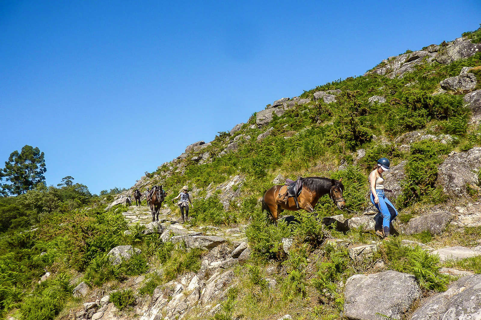 Ride a trail in the wilderness of northern Portugal