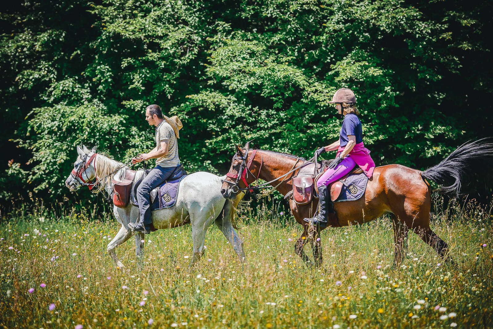 Ride through the mountains of Romania on horseback | Equus Journeys