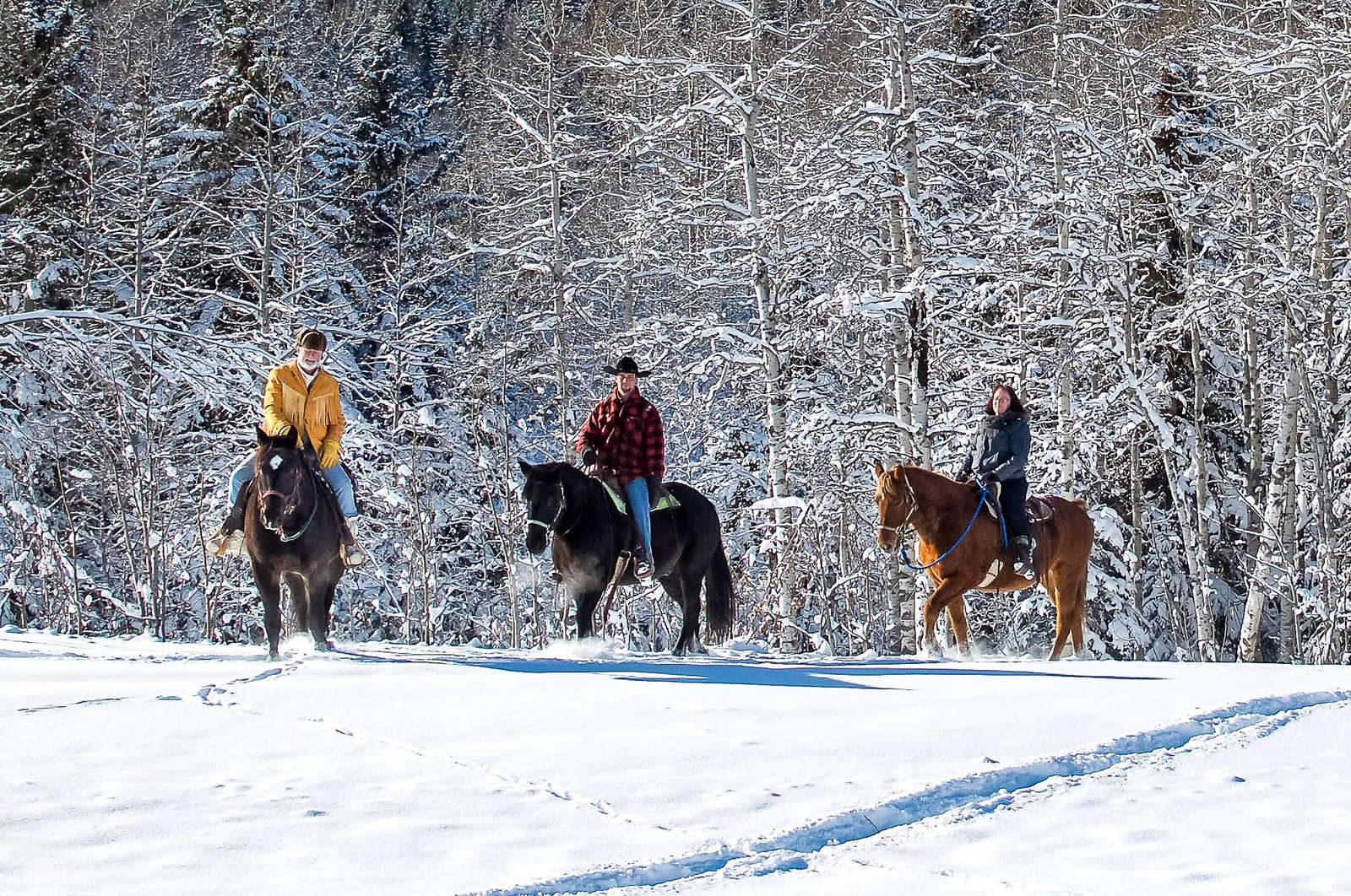 Horseback riding trails in Canada