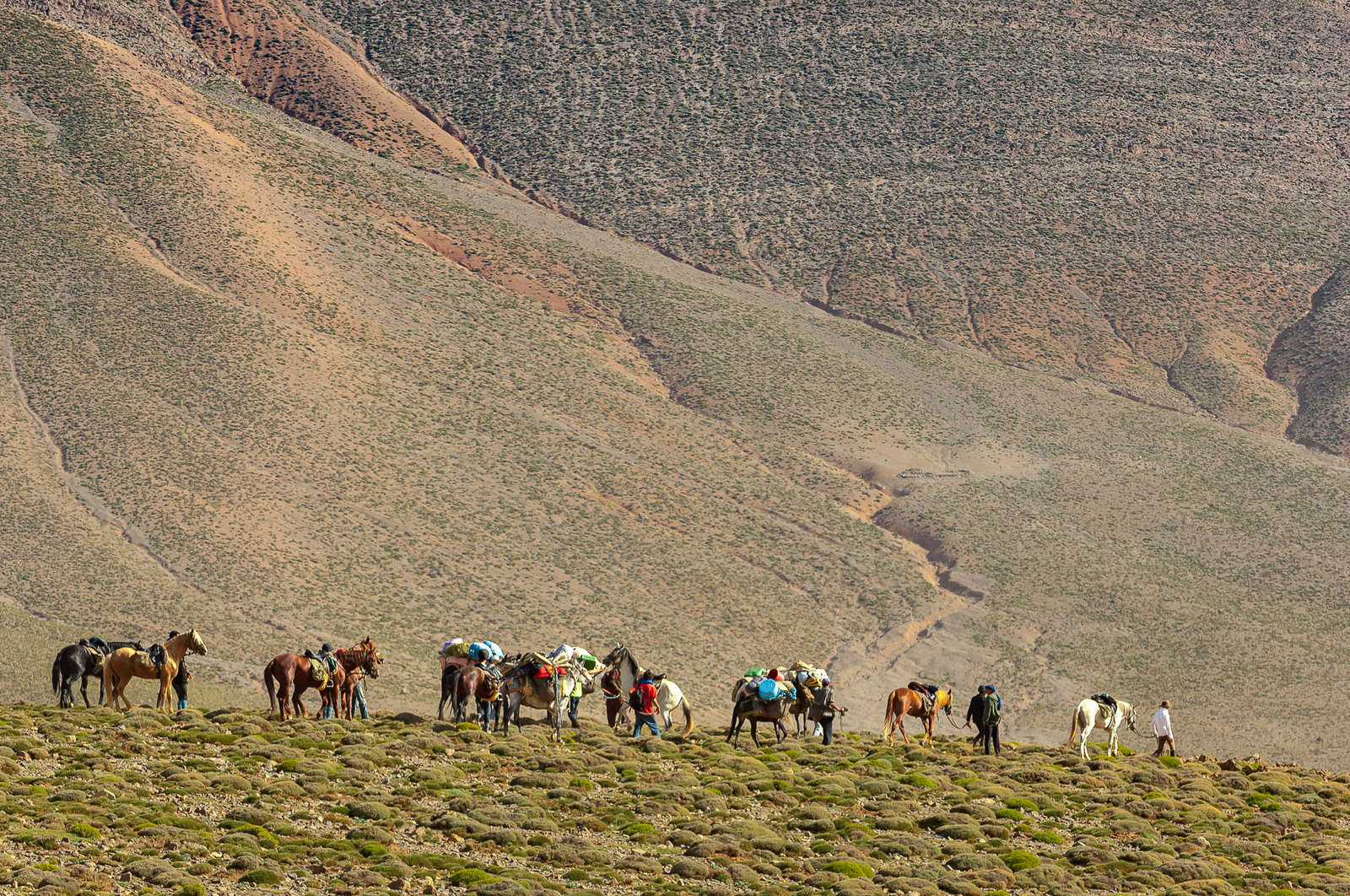 Cross the High Atlas mountains of Morocco on a trail ride