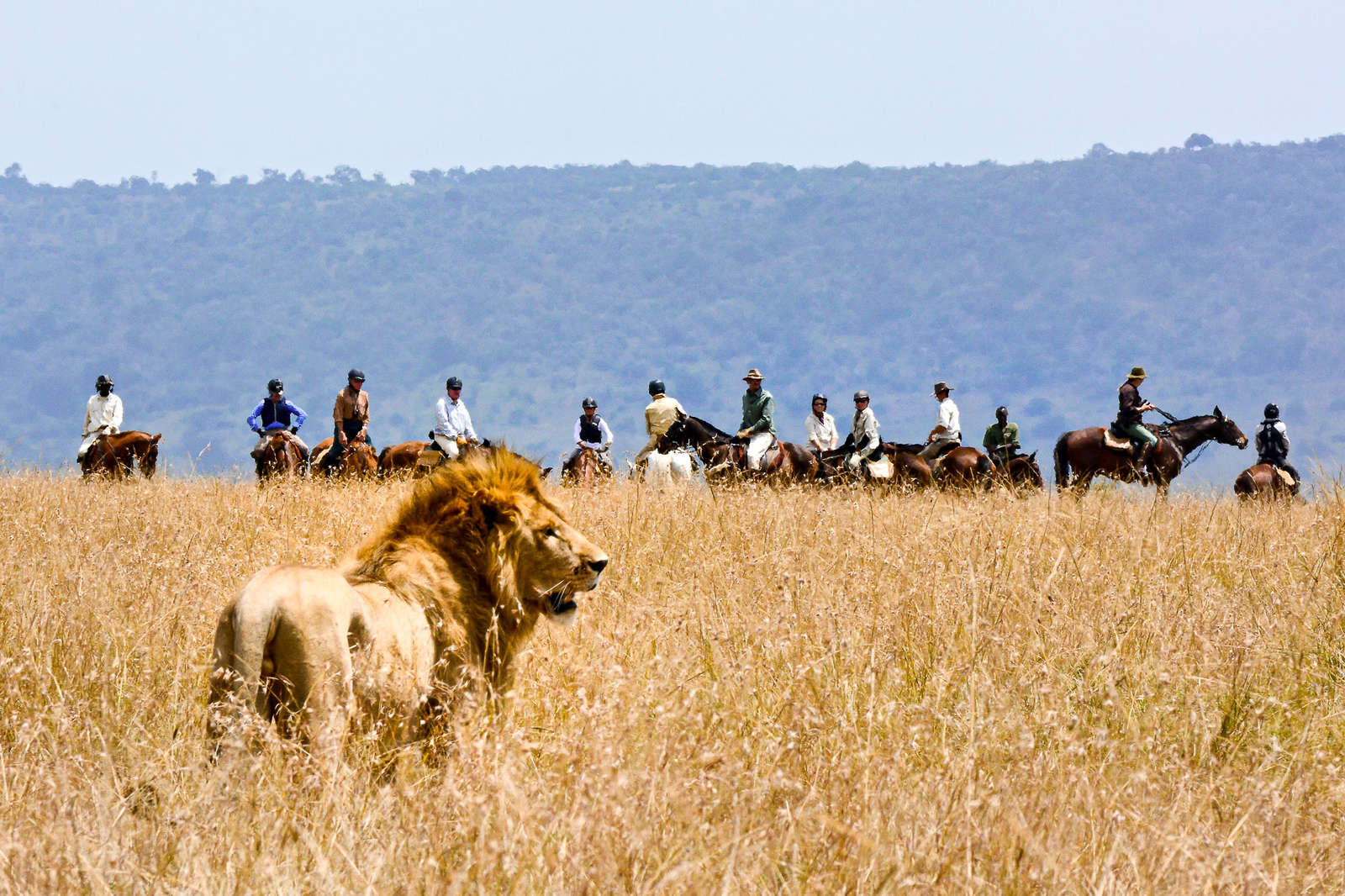 Ride across Kenya's Masai Mara on a horseback safari | Equus Journeys