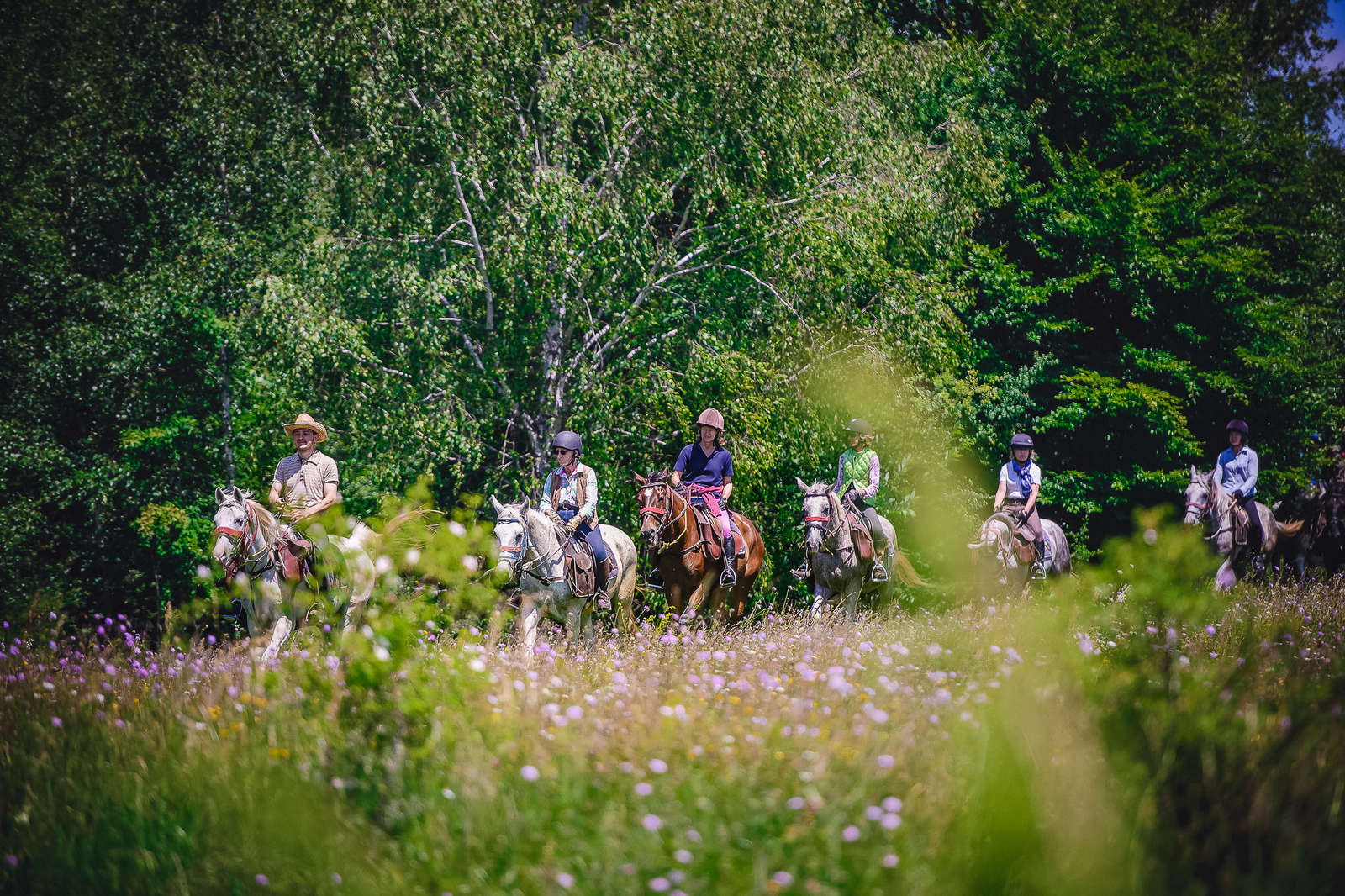 Ride through the mountains of Romania on horseback | Equus Journeys