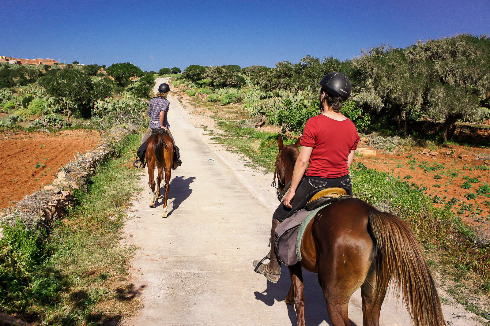 Enjoy a riding holiday on a Ranch in southern Morocco | Equus Journeys