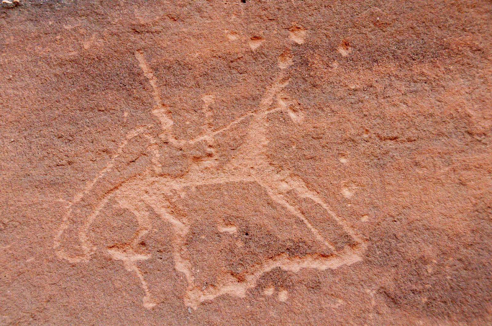 Trail riding in Al Ula, Saudi Arabia | Equus Journeys