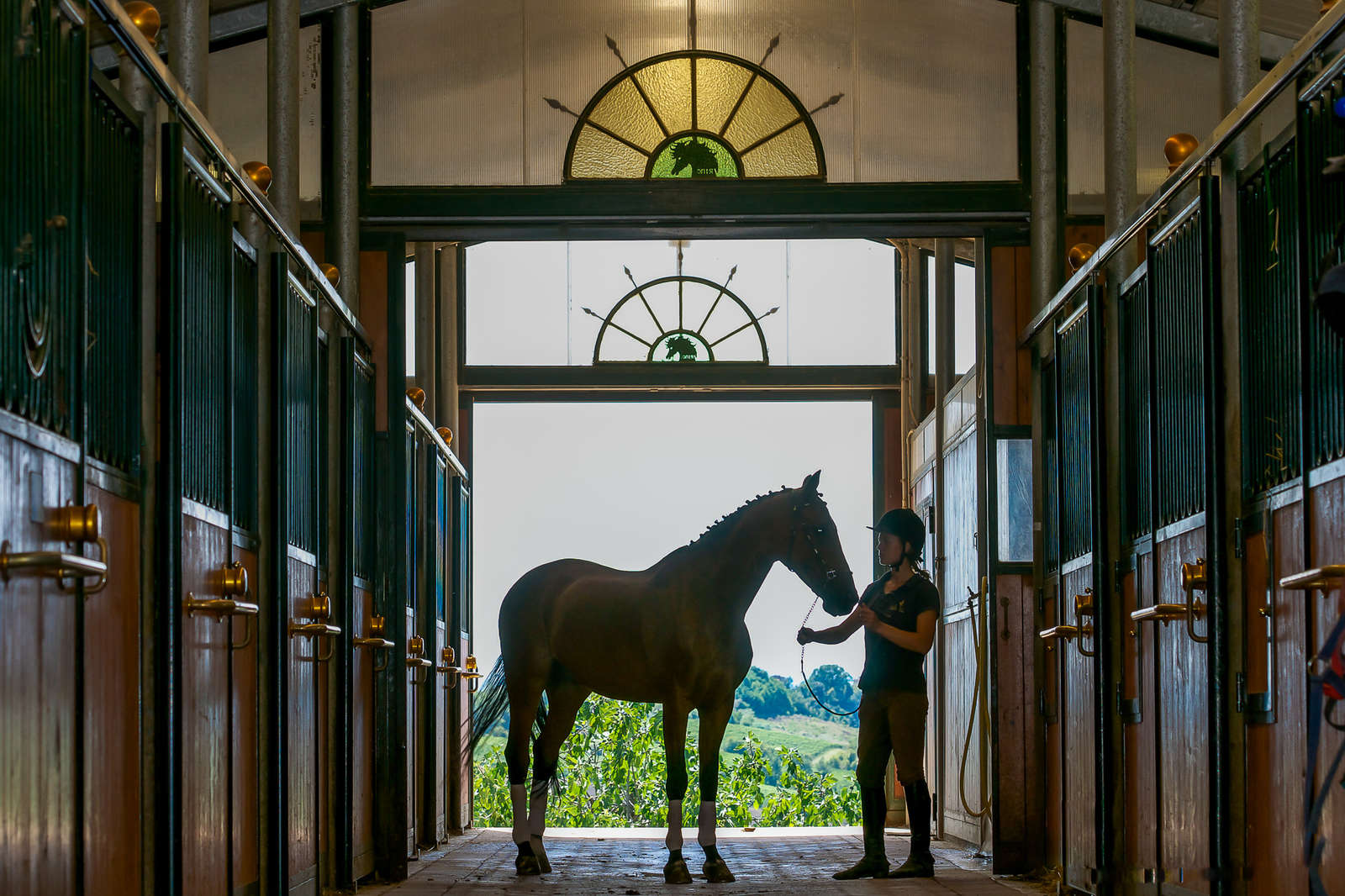 Horse riding holidays and dressage lessons in Italy | Equus Journeys