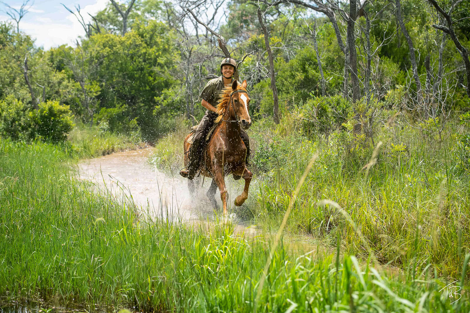 Join a safari in South Africa at Horizon Ranch | Equus Journeys