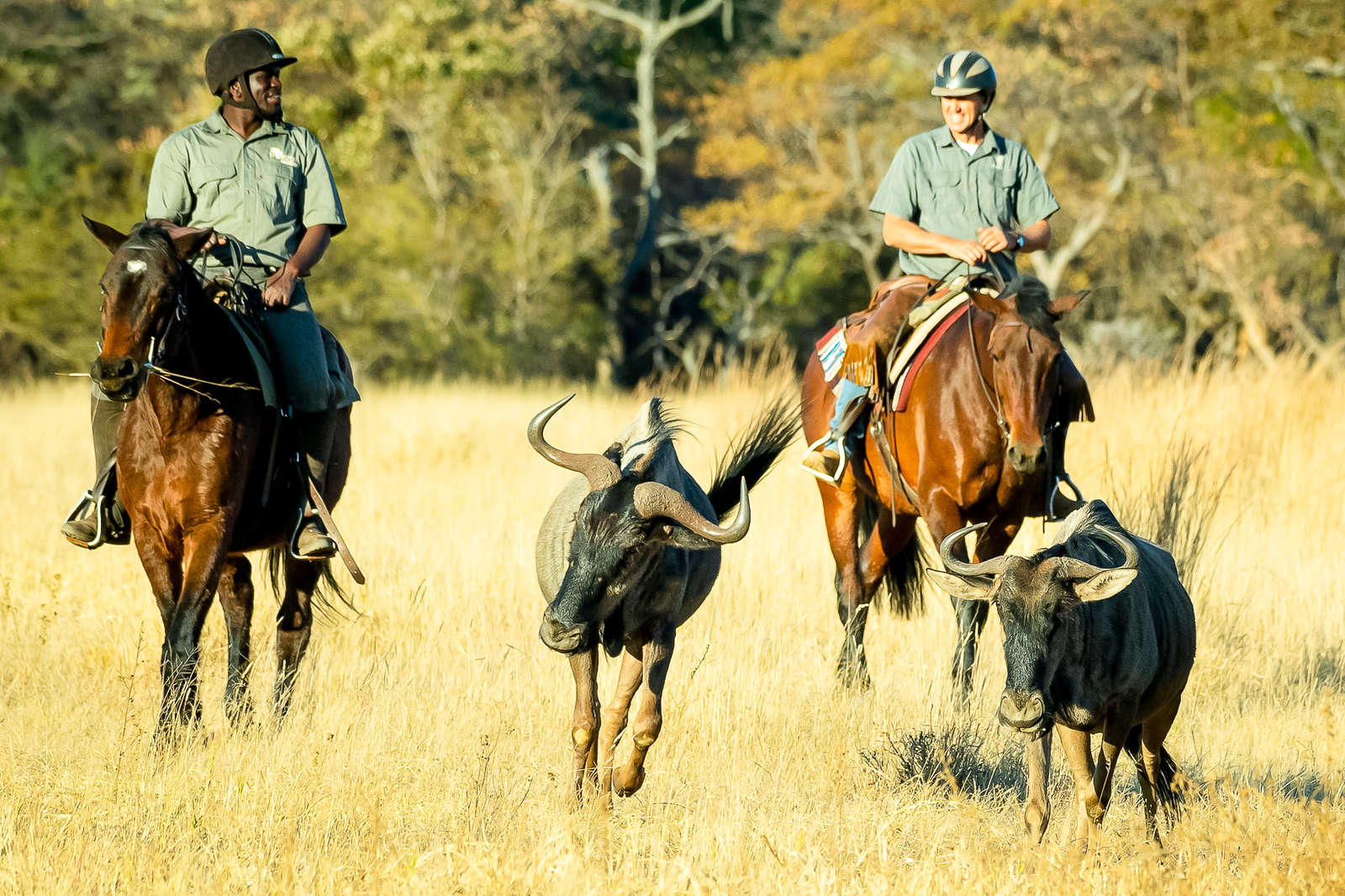 Join a safari in South Africa at Horizon Ranch | Equus Journeys