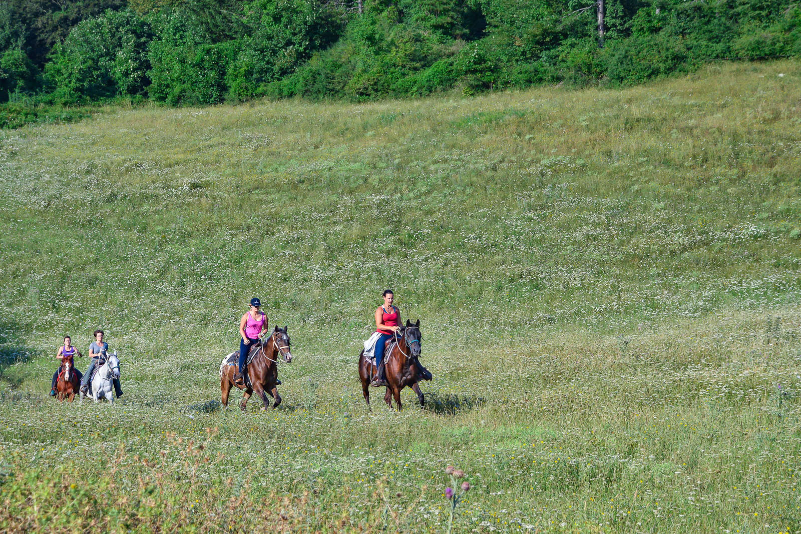 Ride on a western riding Tuscan ranch in Italy | Equus Journeys