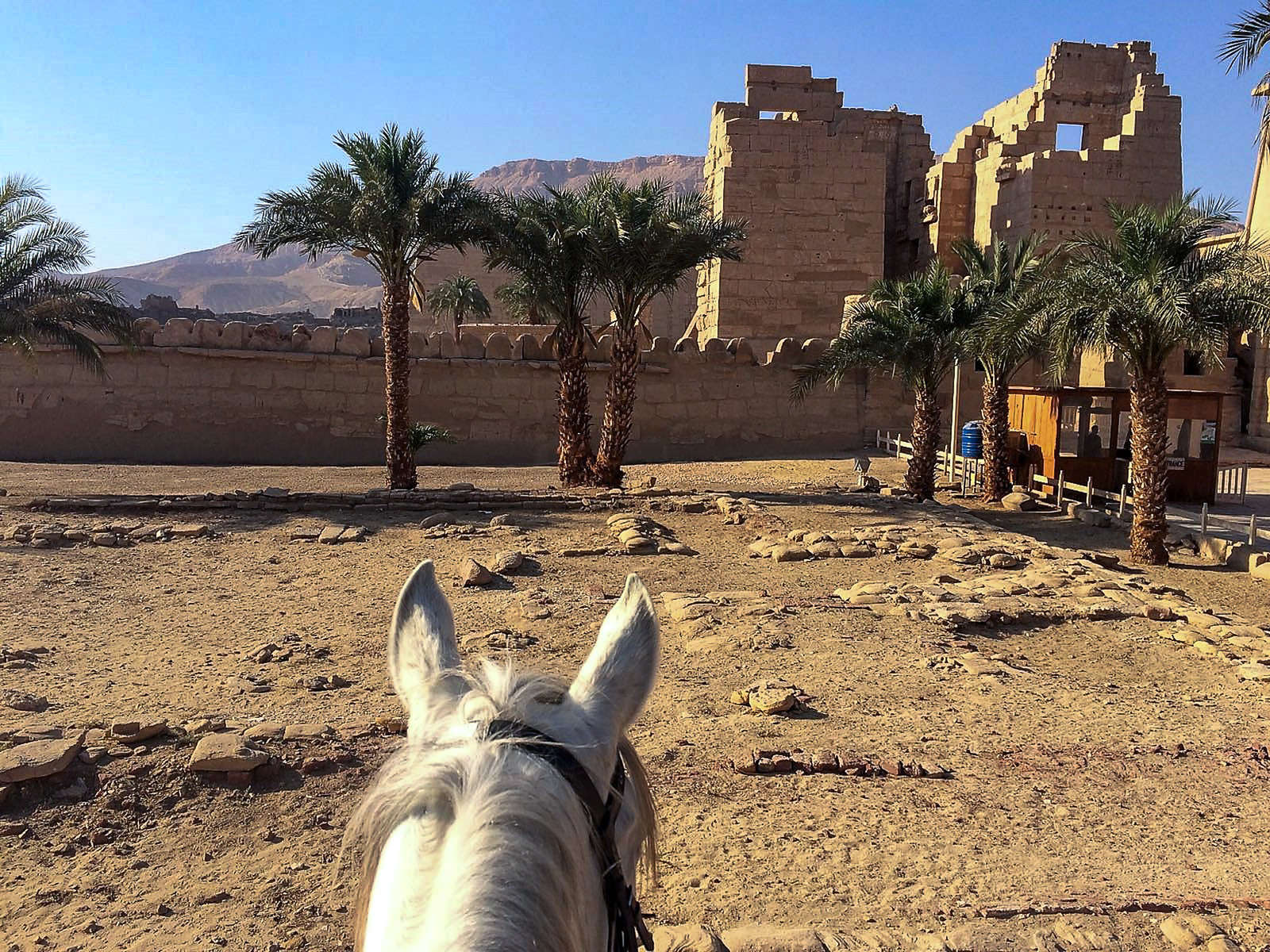 Riding holiday in Egypt, trail riding to the Red Sea | Equus Journeys