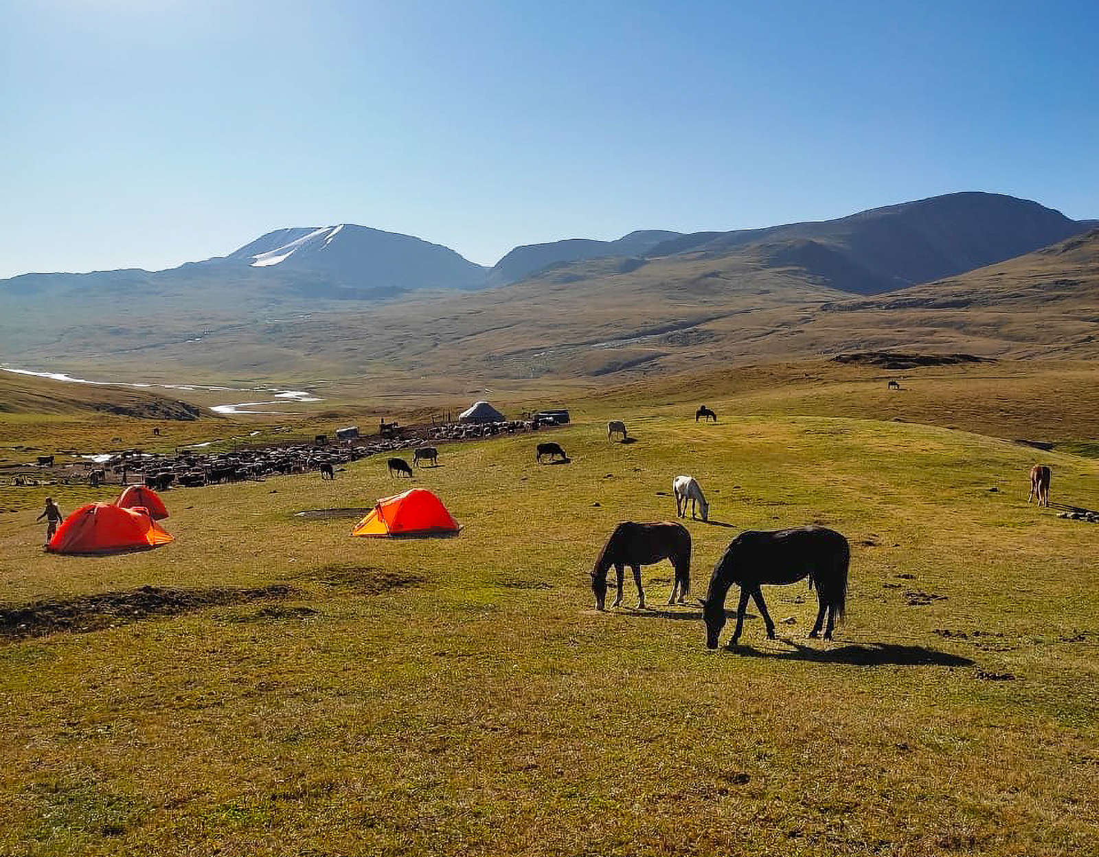 Enjoy a trail ride through the foothills of the Tien Shan mountain ...